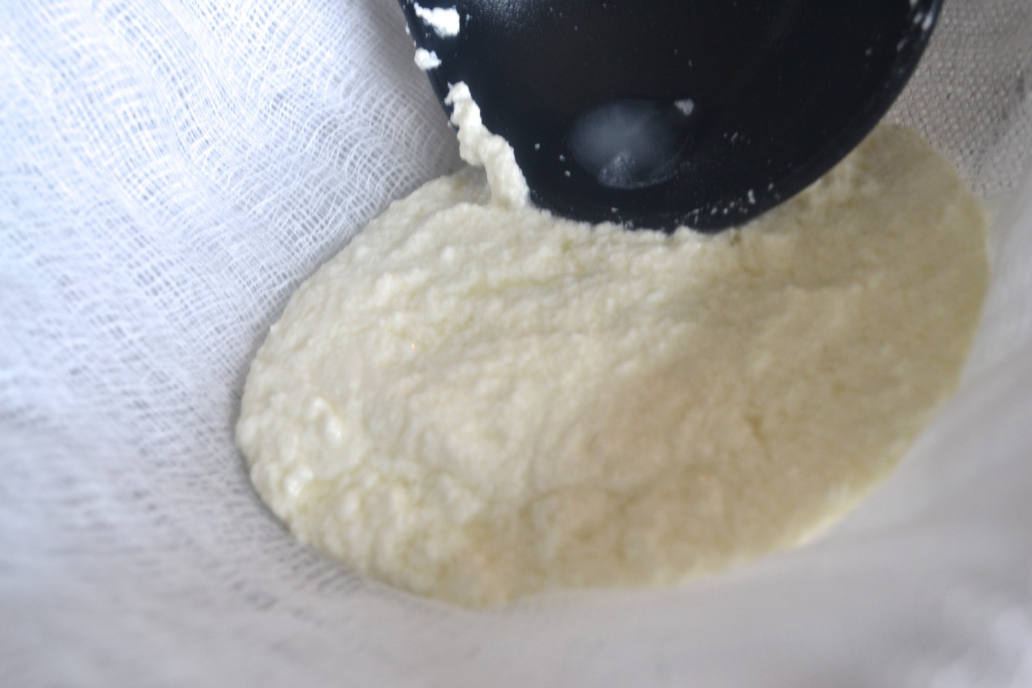 Homemade Colombian Queso Fresco (Fresh Cheese) - ArepasDelGringo